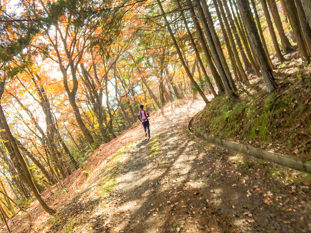 Trailrunning: Japans Natur auf Pfaden erkunden - JAPANDIGEST