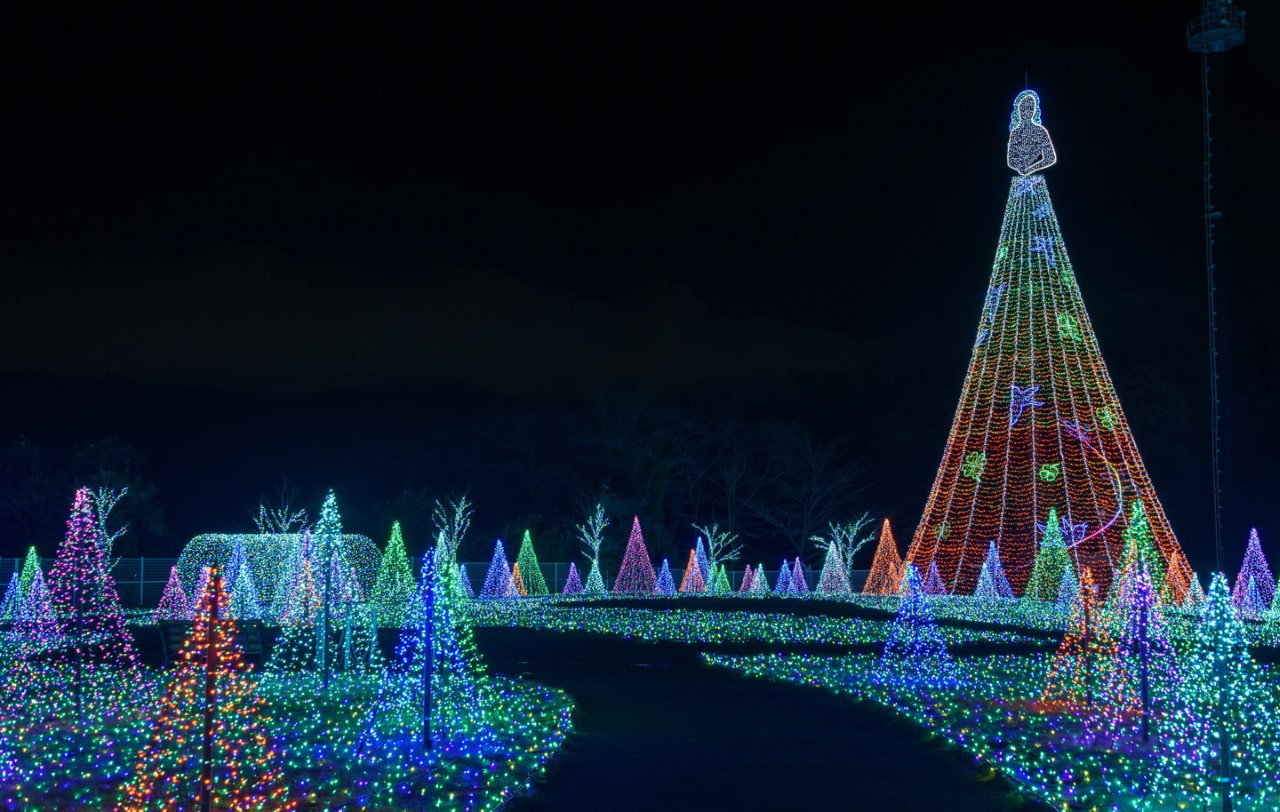 Japan Travel Photographers Association: Tōkyō in Weihnachtsstimmung ...