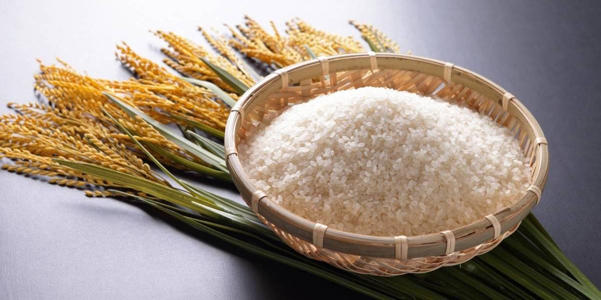 Japanischer Reis: Ein Shopping-Guide - JAPANDIGEST